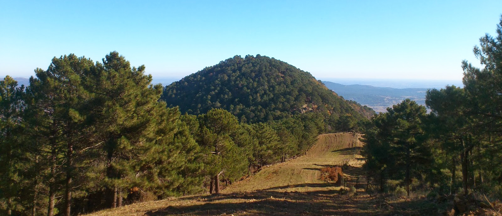 ZEPA Cerro de Guisando | MUSEO DE LA NATURALEZA "VALLE DEL ALBERCHE"